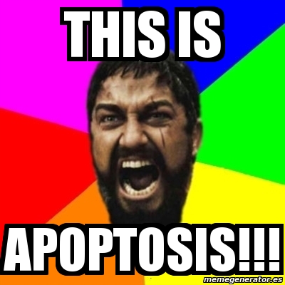 Meme Sparta - this is apoptosis!!! - 10838