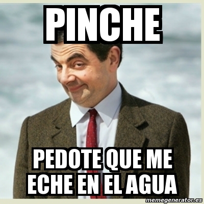 Meme Mr Bean - pinche pedote que me eche en el agua - 135125