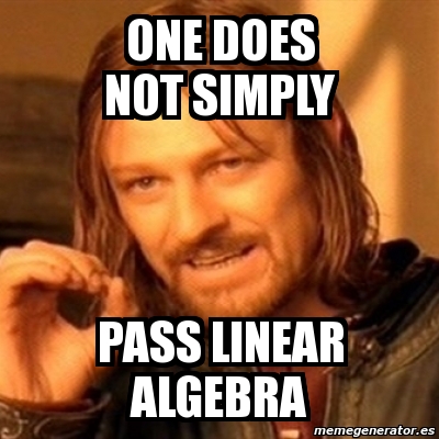 Meme Boromir - one does not simply pass lineaR algebra - 21503
