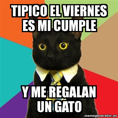 Meme Business Cat - tipico el viernes es mi cumple y me regalan un gato ...