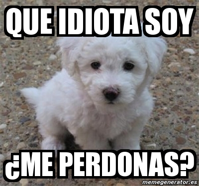 Meme Personalizado - que idiota soy Â¿me perdonas? - 258604