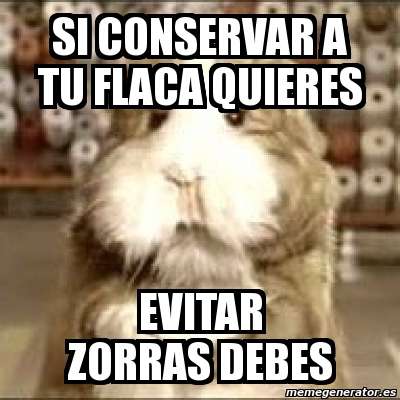 Meme Personalizado - si conservar a tu flaca quieres evitar zorras ...