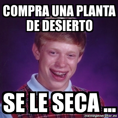 Meme Bad Luck Brian - compra una planta de desierto se le seca ... - 276851