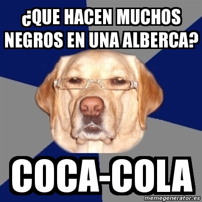 Meme Perro Racista - Â¿que hacen muchos negros en una alberca? coca ...