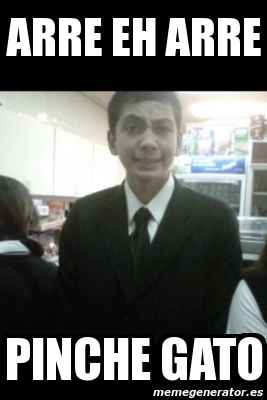 Meme Personalizado - arre eh arre pinche gato - 296995