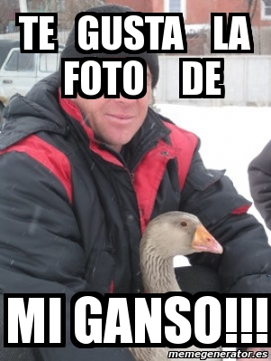 Meme Personalizado - te gusta la foto de mi ganso!!! - 302392
