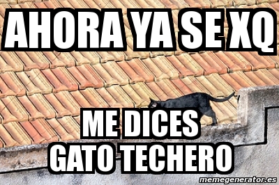 Meme Personalizado - ahora ya se xq me dices gato techero - 309984