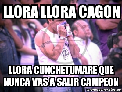 Meme Personalizado - LLORA LLORA CAGON LLORA CUNCHETUMARE QUE NUNCA VAS ...