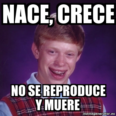 Meme Bad Luck Brian - nace, crece no se reproduce y muere - 335595
