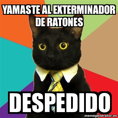 Meme Business Cat - YAMASTE AL EXTERMINADOR DE RATONES DESPEDIDO - 347550