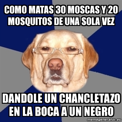Meme Perro Racista - Como matas 30 moscas y 20 mosquitos de una sola ...