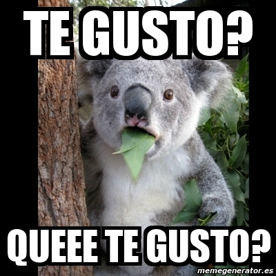 Meme Koala - te gusto? queee Te gusto? - 363614