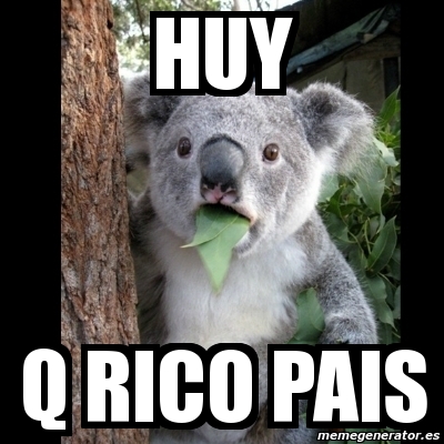 Meme Koala - huy q rico pais - 364724