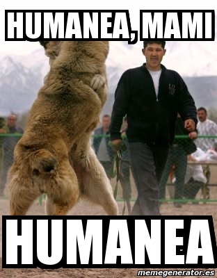 Meme Personalizado - HUMANEA, MAMI HUMANEA - 383710