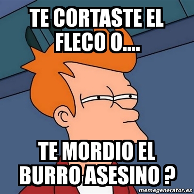 Meme Futurama Fry - te cortaste el fleco o.... te mordio el burro ...