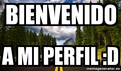 Meme Personalizado - Bienvenido A Mi Perfil :D - 449499