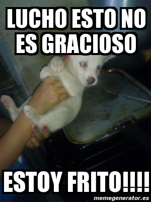 Meme Personalizado - lucho esto no es gracioso estoy frito!!!! - 457492