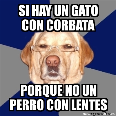Meme Perro Racista - si hay un gato con corbata porque no un perro con ...