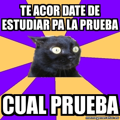 Meme Anxiety Cat - te acor date de estudiar pa la prueba cual prueba ...