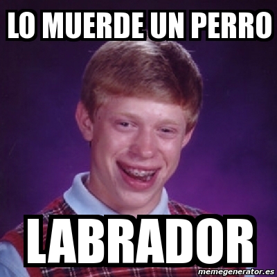 Meme Bad Luck Brian - Lo muerde un perro labrador - 475757