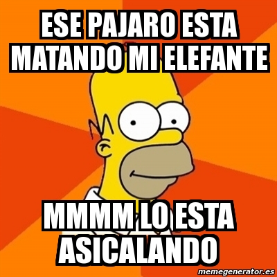 Meme Homer - ESE PAJARO ESTA MATANDO MI ELEFANTE MMMM LO ESTA ...