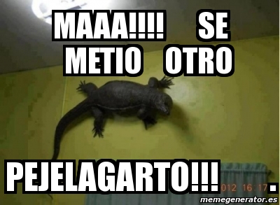Meme Personalizado - maaa!!!! se metio otro pejelagarto!!! . - 530776