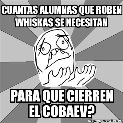 Meme Whyyy - Cuantas alumnas que roben whiskas se necesitan para que ...