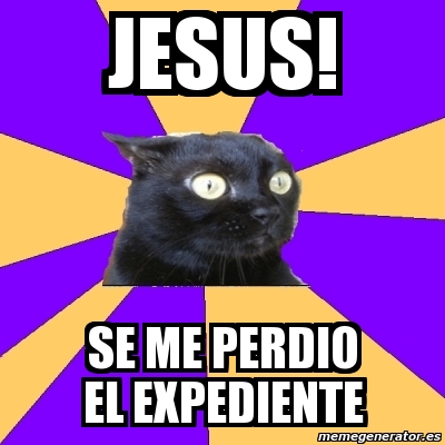Meme Anxiety Cat - JESUS! se me perdio el expediente - 537244