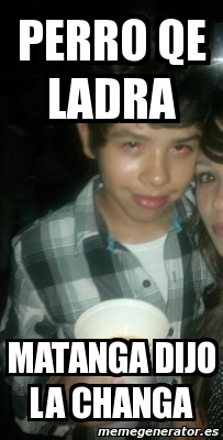 Meme Personalizado - perro qe ladra matanga dijo la changa - 537676