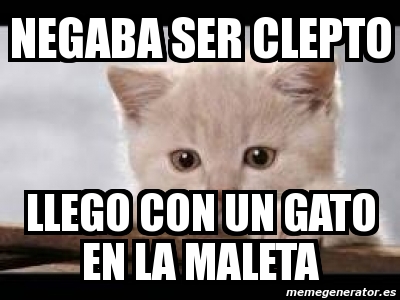 Meme Personalizado - Negaba ser clepto llego con un gato en la maleta ...