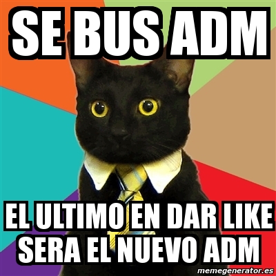 Meme Business Cat - se bus adm el ultimo en dar like sera el nuevo adm ...