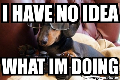 Meme Personalizado - I HAVE NO IDEA WHAT IM DOING - 574720