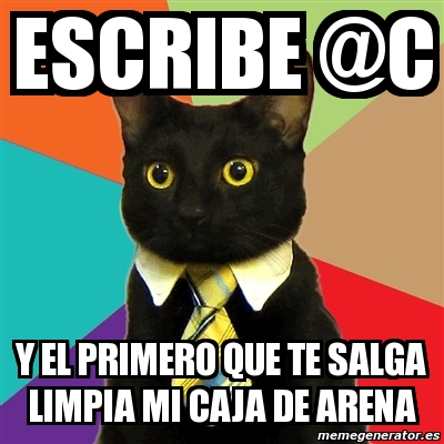 Meme Business Cat - Escribe @c y el primero que te salga limpia mi caja ...