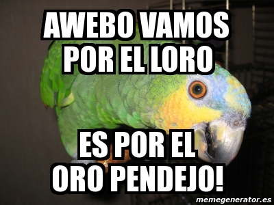 Meme Personalizado - awebo vamos por el loro es por el oro pendejo ...