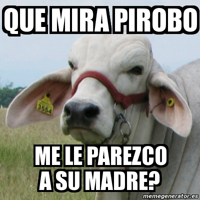 Meme Personalizado - que mira pirobo me le parezco a su madre? - 605741