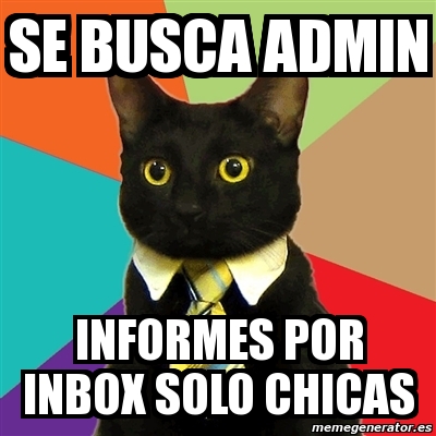 Meme Business Cat - se busca admin informes por inbox solo chicas - 639499