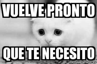 Meme Personalizado - Vuelve Pronto Que Te Necesito - 655579
