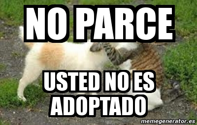 Meme Personalizado - No Parce Usted No Es Adoptado - 679470