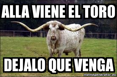 Meme Personalizado - alla viene el toro dejalo que venga - 681384