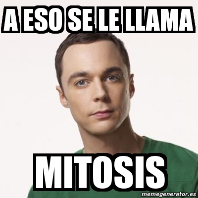 Meme Sheldon Cooper - a eso se le llama mitosis - 690840