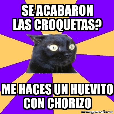 Meme Anxiety Cat - Se acabaron las croquetas? ME haces un huevito con ...