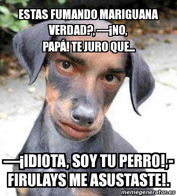 Meme Personalizado - Estas fumando mariguana verdad?, â€”Â¡No, papÃ ...