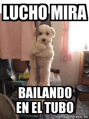 Meme Personalizado - lucho mira bailando en el tubo - 699640