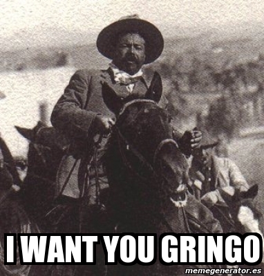 Meme Personalizado - i want you gringo - 703653