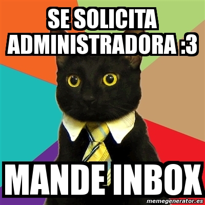 Meme Business Cat - se solicita administradora :3 mande inbox - 752031