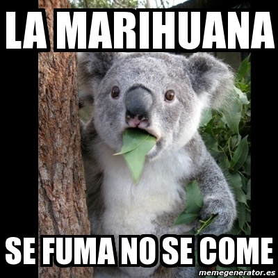 Meme Koala - la marihuana se fuma no se come - 758453
