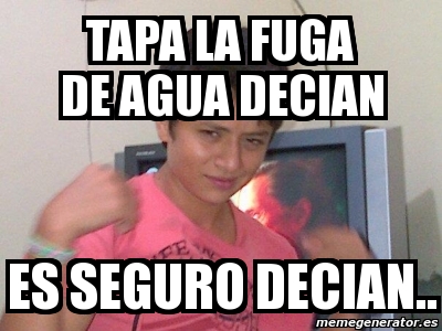 Meme Personalizado - tapa la fuga de agua decian es seguro decian ...
