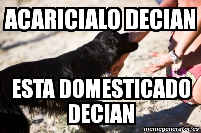 Meme Personalizado - Acaricialo decian esta domesticado decian - 777981