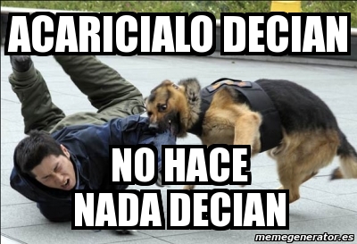 Meme Personalizado - acaricialo decian no hace nada decian - 778244
