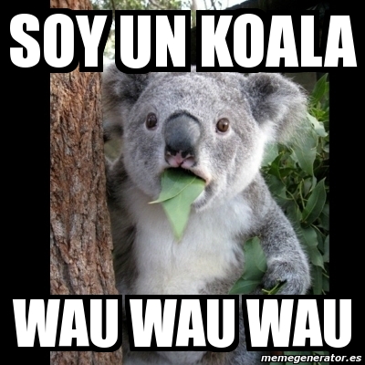 Meme Koala - soy un koala wau wau wau - 800256